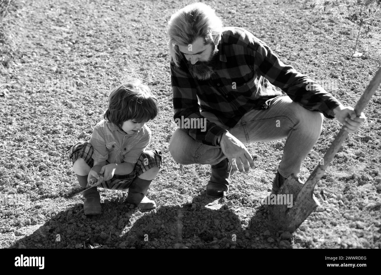 Family planting a tree. Son helping father. Dad and kid gardening in ...