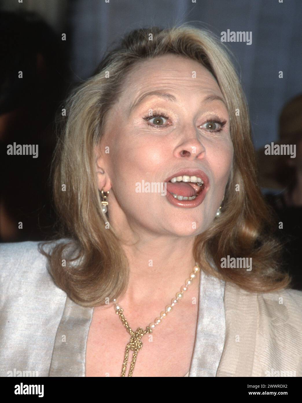 2000 Faye Dunaway John Barrett/PHOTOlink.net Stock Photo - Alamy