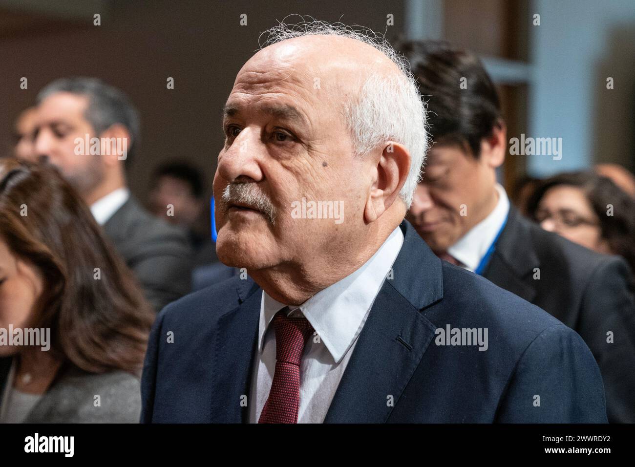 New York, USA. 25th Mar, 2024. Ambassador Riyad Mansour of Palestine ...