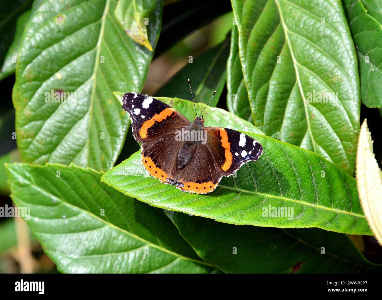 Lat 47 51756662 hi-res stock photography and images - Alamy