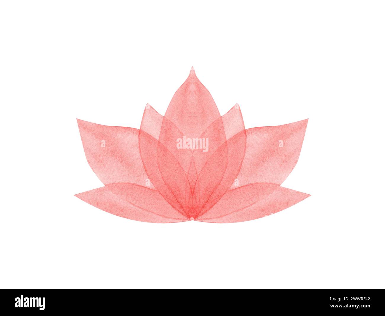 Abstract blooming lotus symbol. Hand drawn waterlily. Simply red flower ...