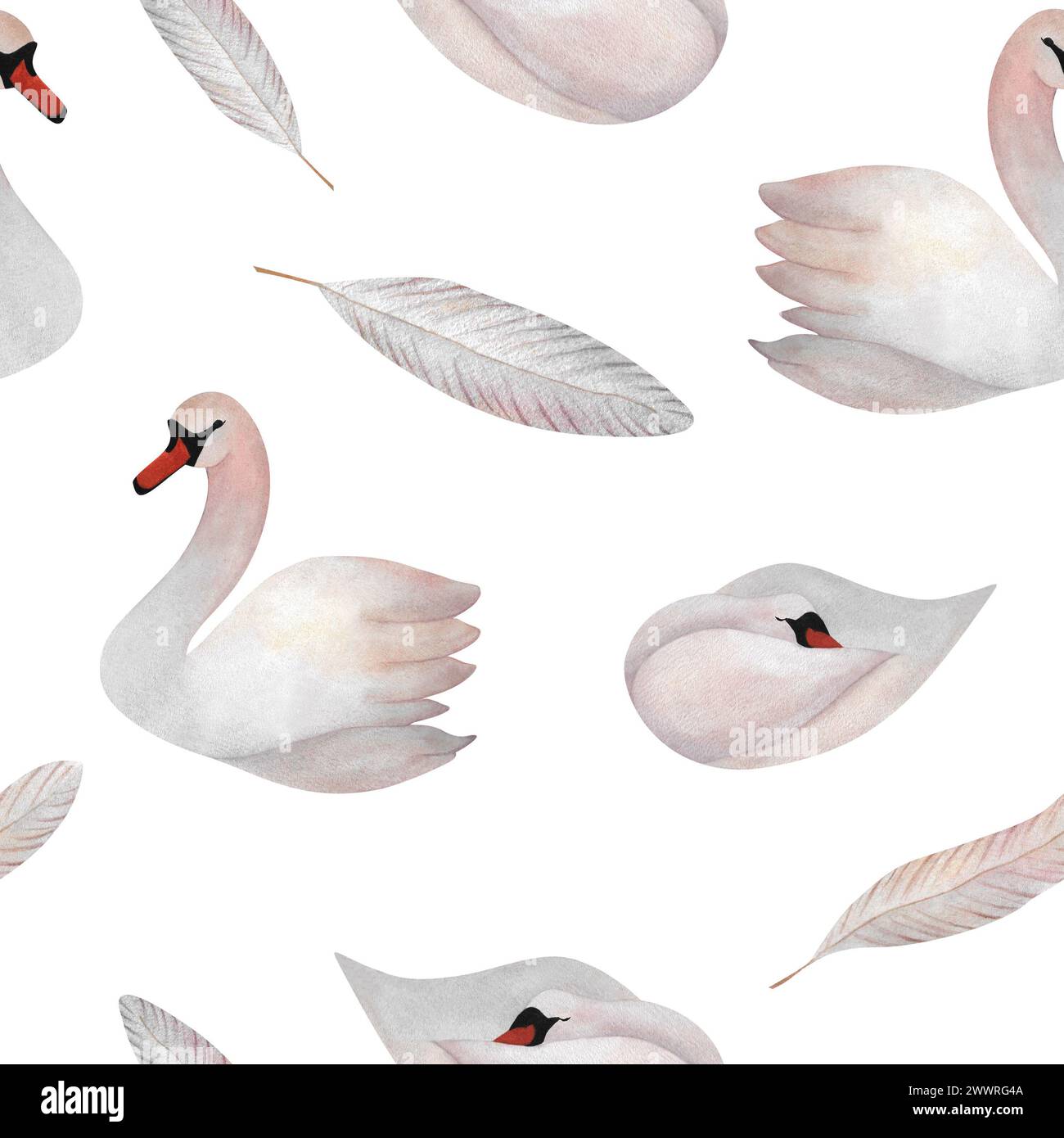 Watercolor swans feather seamless pattern Hand drawn illustration with ...