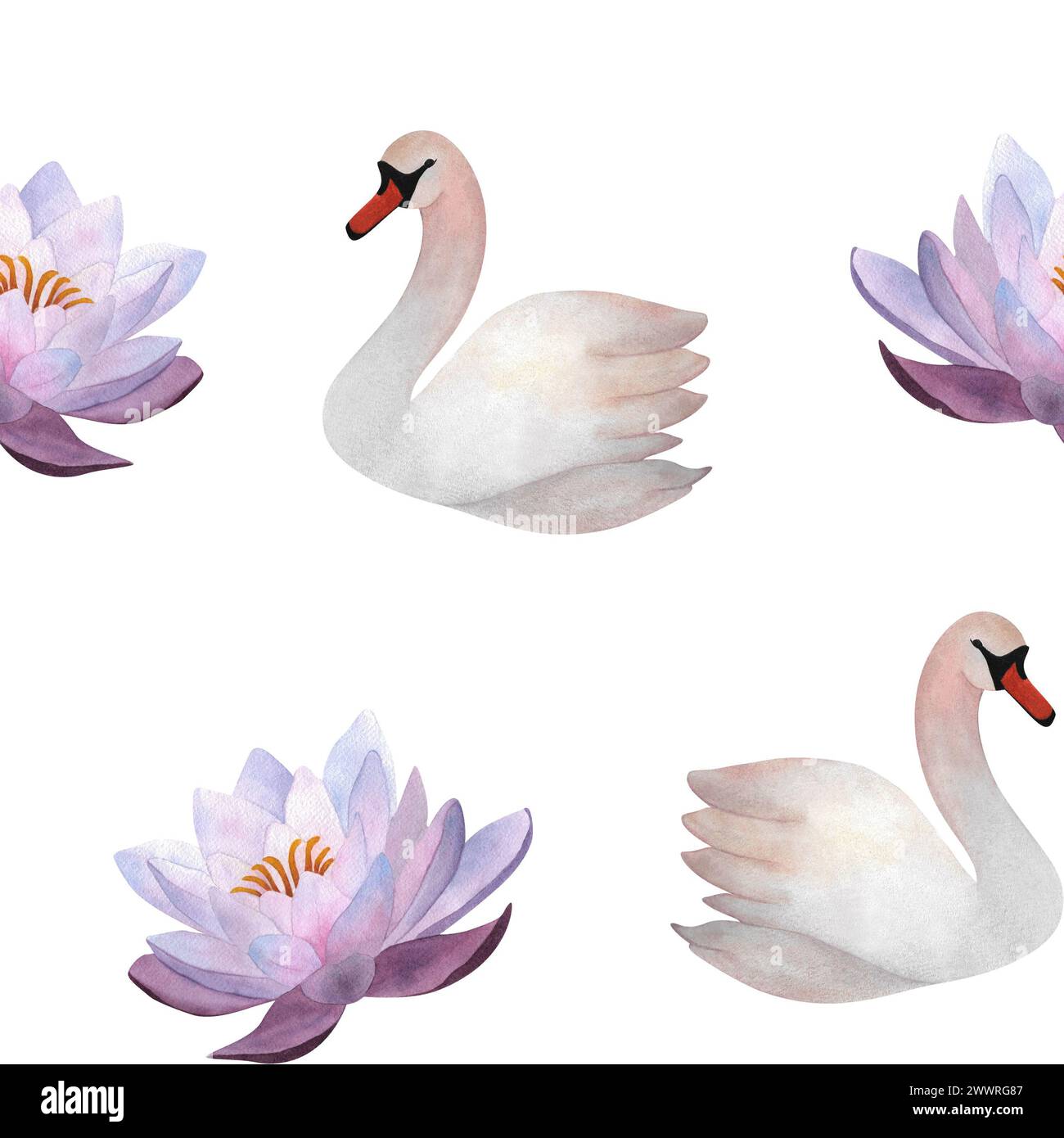 Watercolor swans and purple waterlilies seamless pattern Pastel bird ...