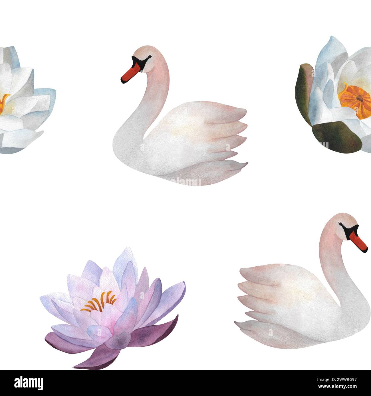 Watercolor swans white purple waterlilies seamless pattern Pastel bird ...