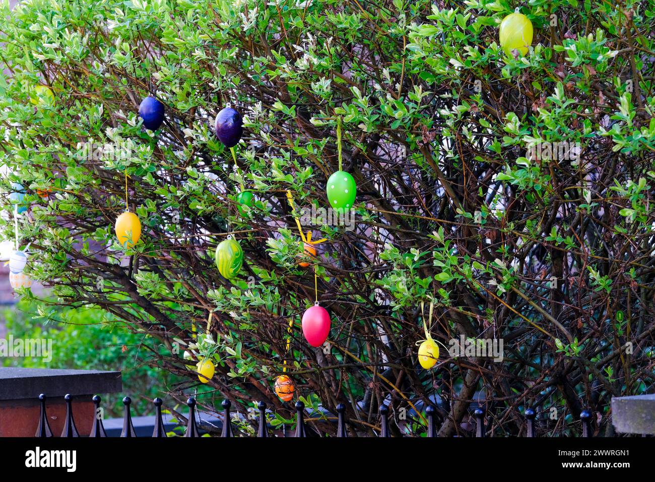 Düsseldorf 25.03.2024 Ostereier Osterdekoration Osterbaum Ostern ...