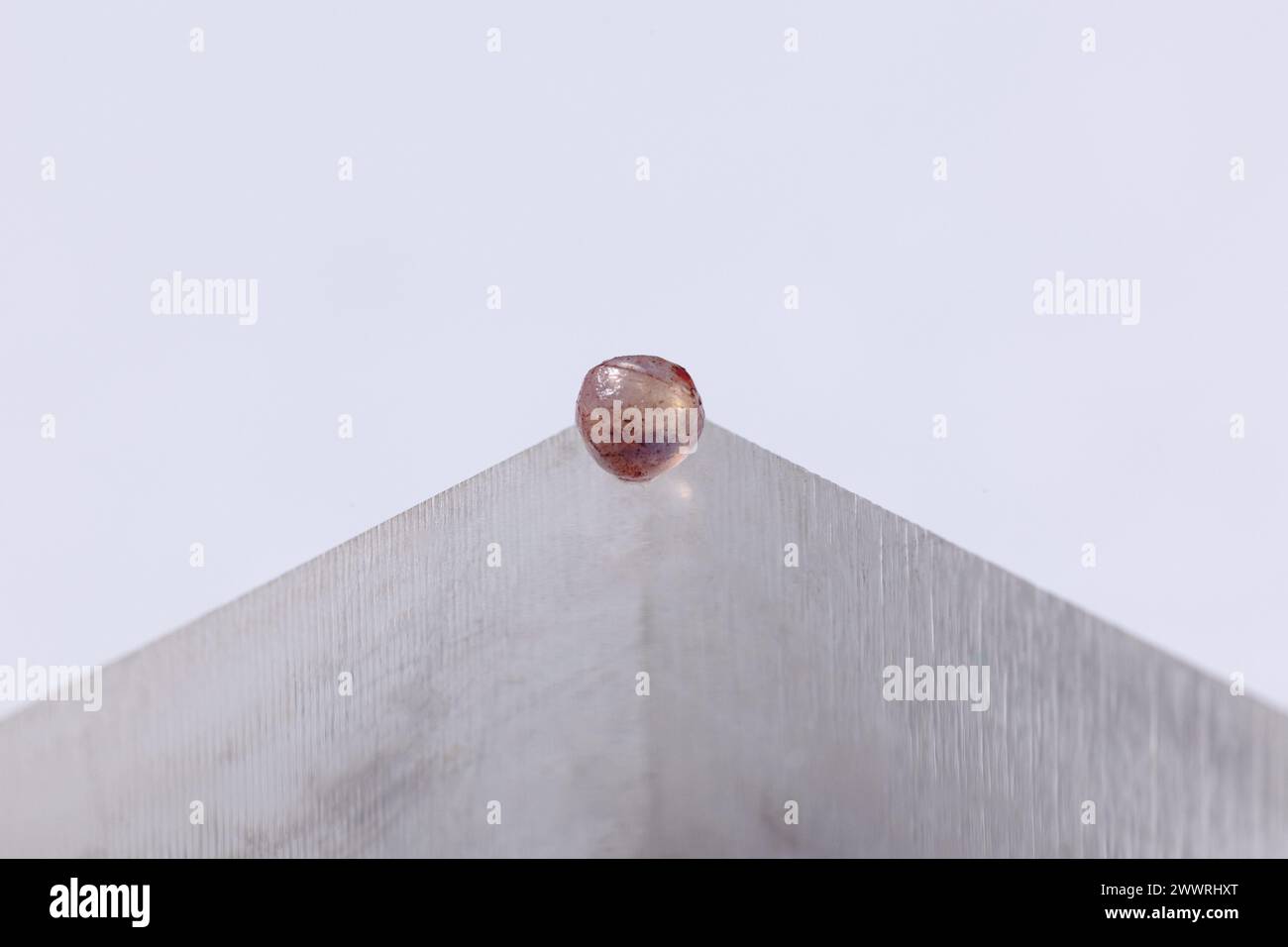 The hard spherical lens from the eye after a dissection of a ...