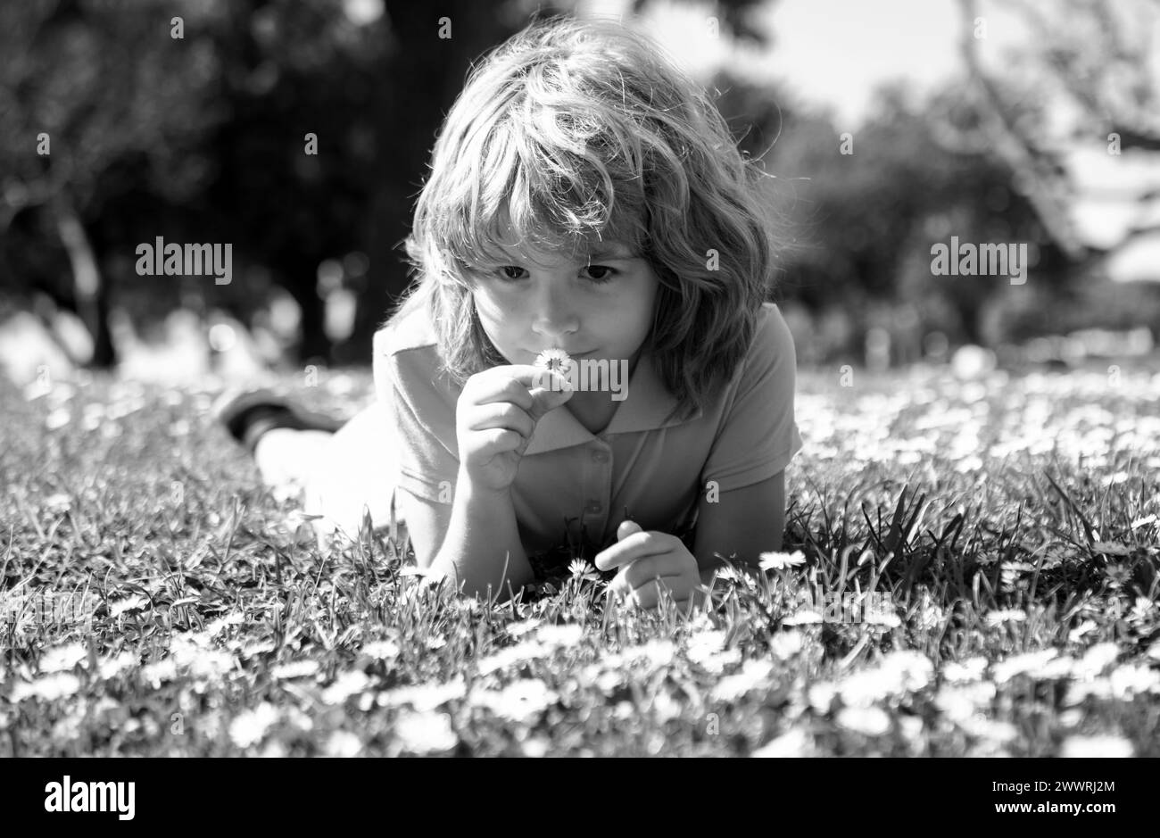 Cute little girl on the daisy flowers meadow in spring day. Happy ...