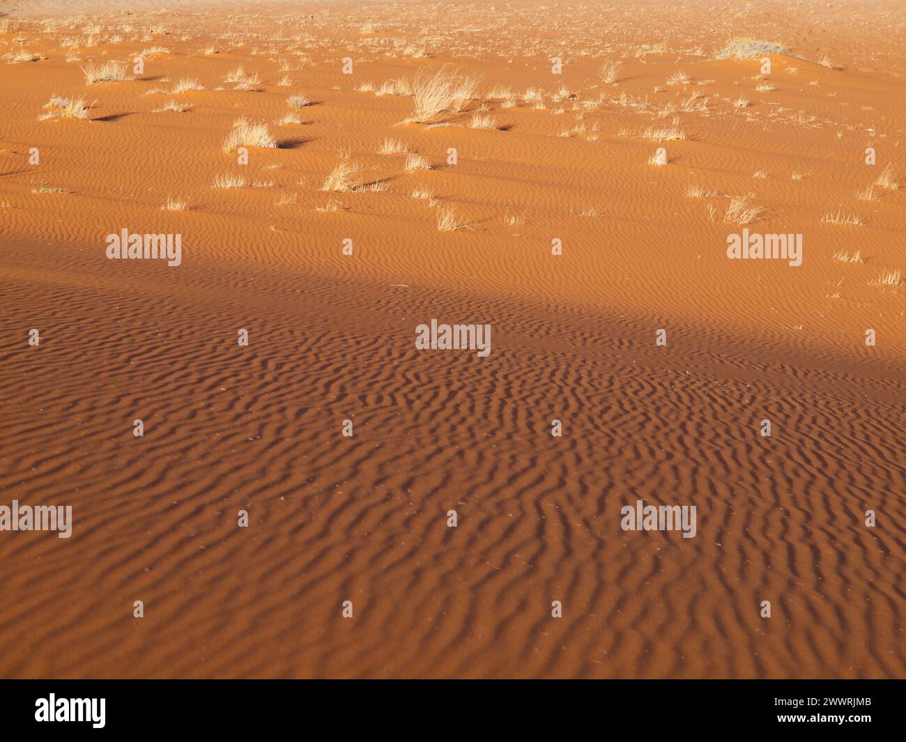 Namid naukluft national park hi-res stock photography and images - Alamy