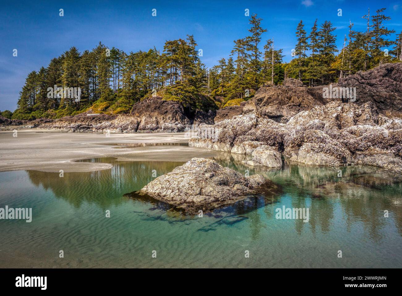 Tide pools and unique rock formations at Cox Bay Beach near Tofino ...