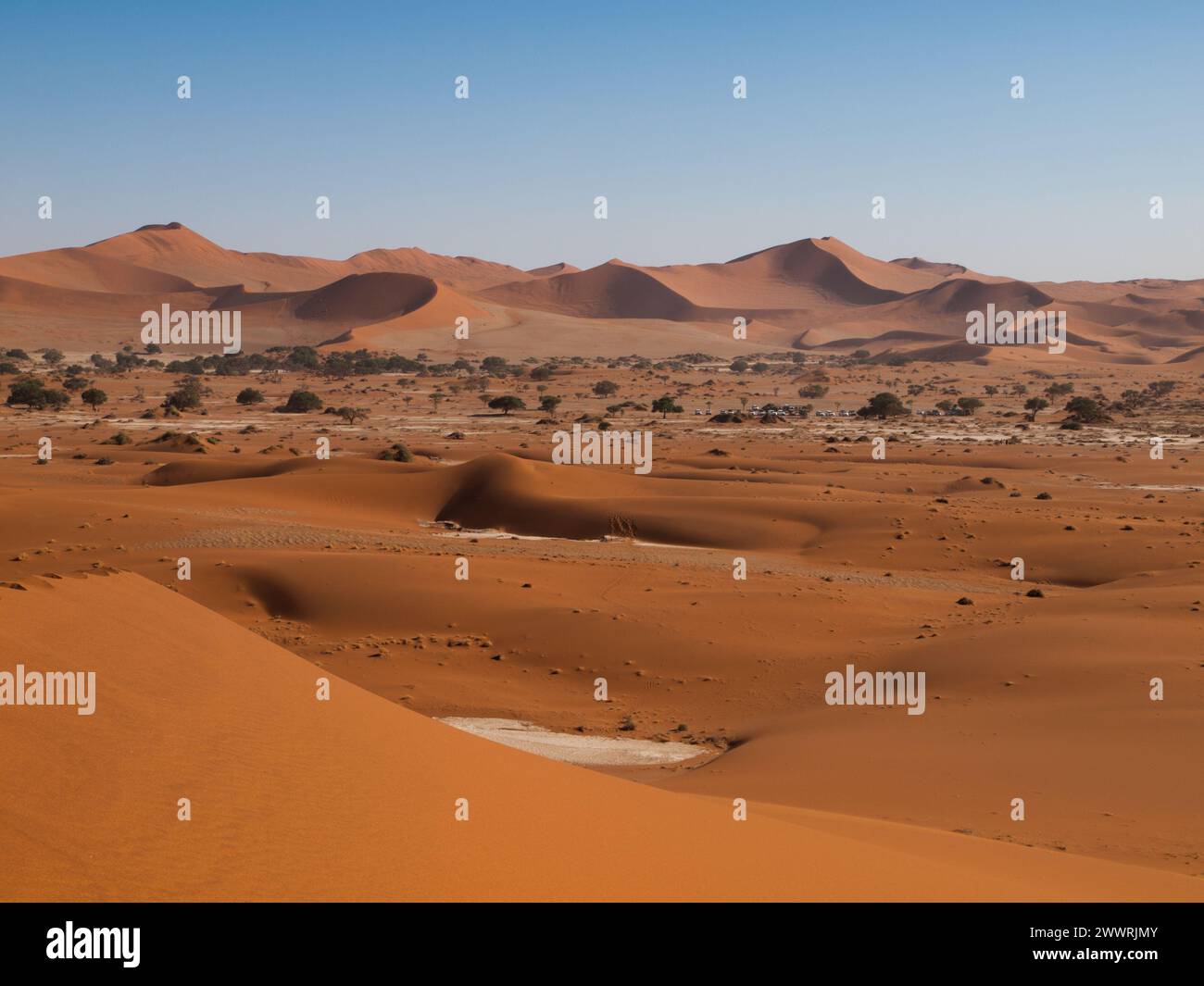 Red dunes of Namid desert (Namibia Stock Photo - Alamy
