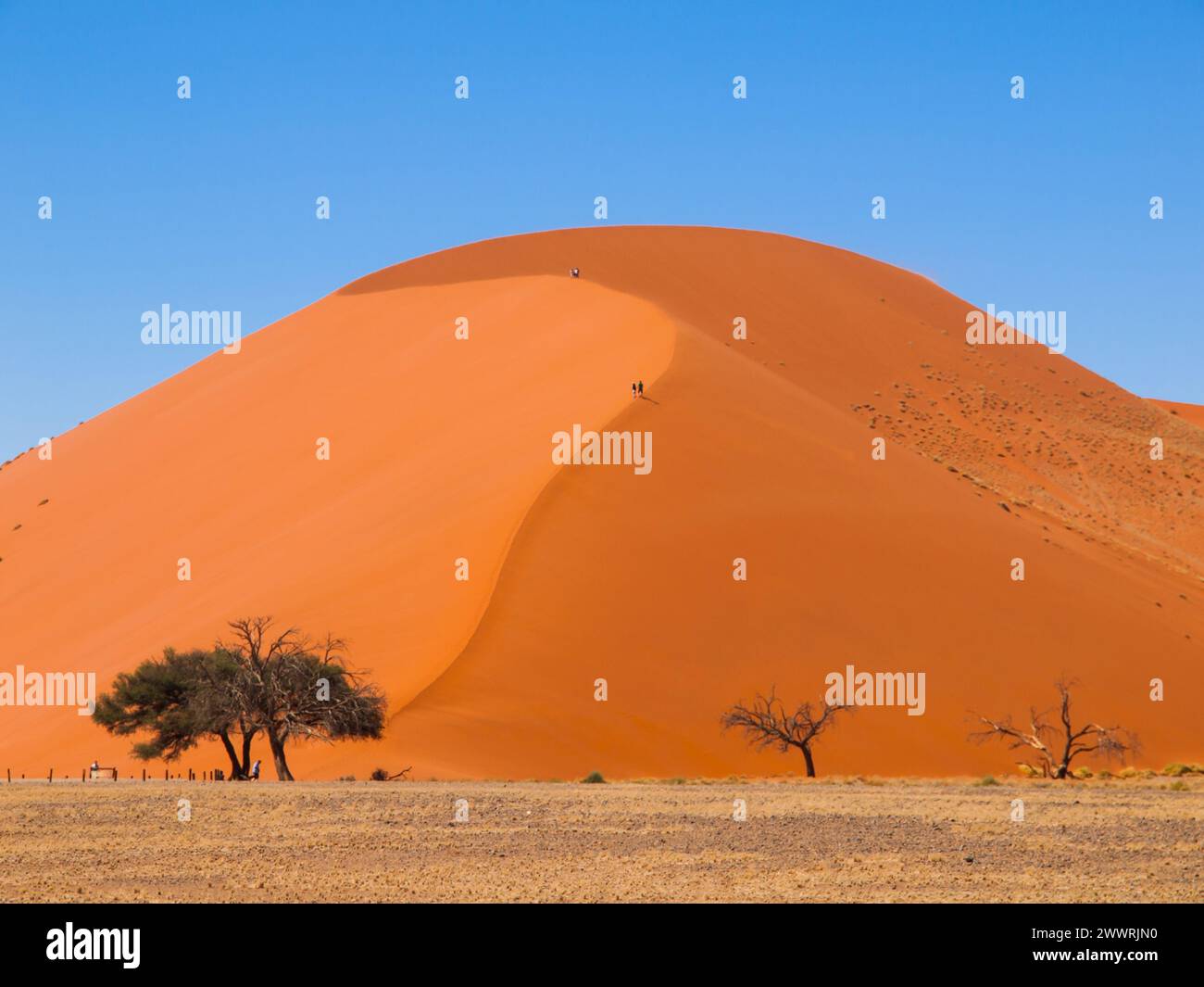 The most known dune of Namib desert - Dune 45 (Namibia Stock Photo - Alamy