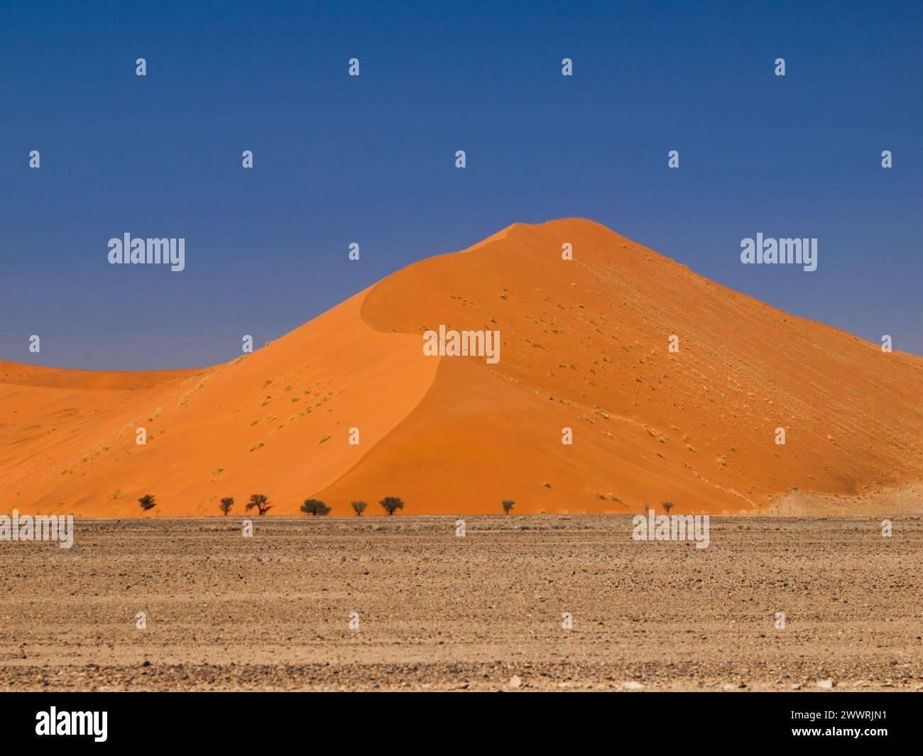 Namid desert hi-res stock photography and images - Alamy