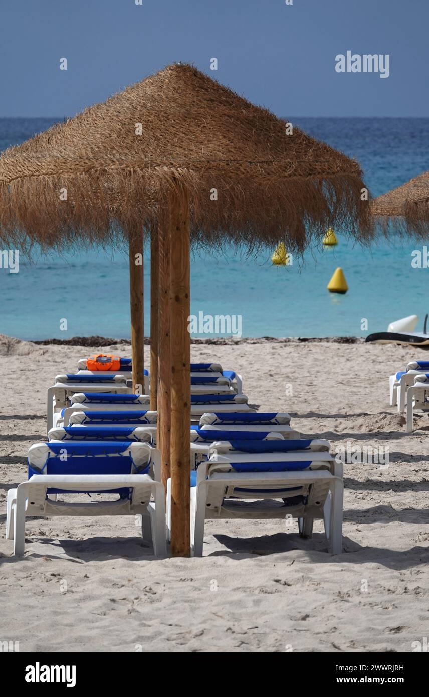 Empty sun loungers and parasols in neat rows on the beach Stock Photo ...
