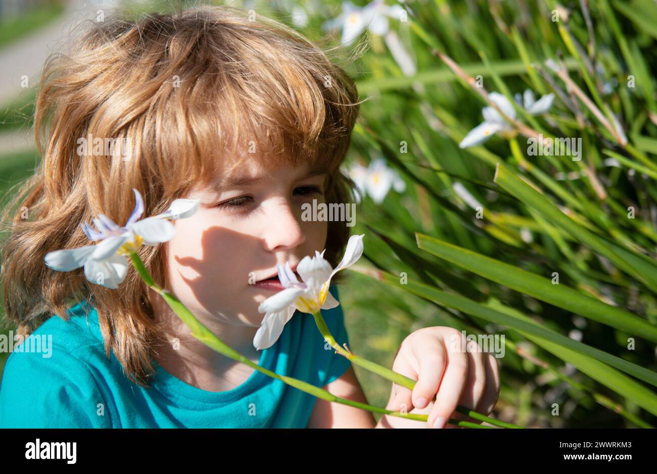 Toddler smelling flower hi-res stock photography and images - Alamy