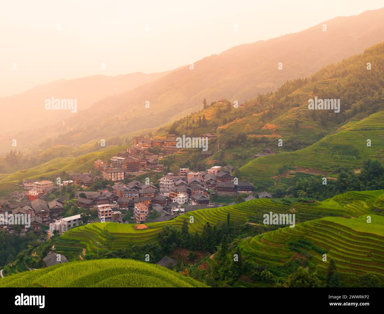 Traditional chinese village wooden houses in the middle of rice ...