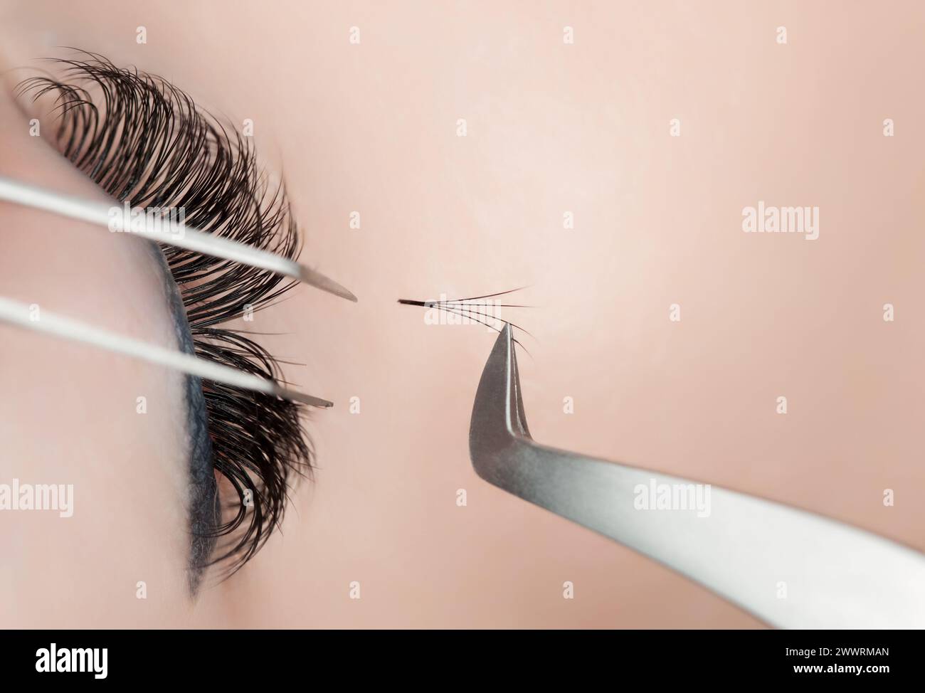 Eyelash extension procedure close up. Beautiful Woman with long lashes ...