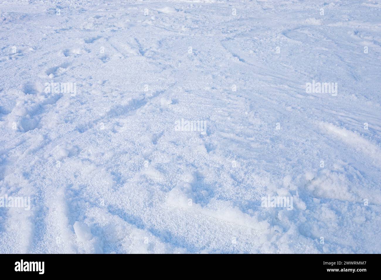 abstract light background of wet snow on a soft slope. Christmas ...