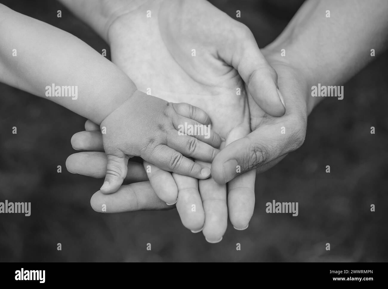 Three hands of the same family - father mother and baby stay together ...