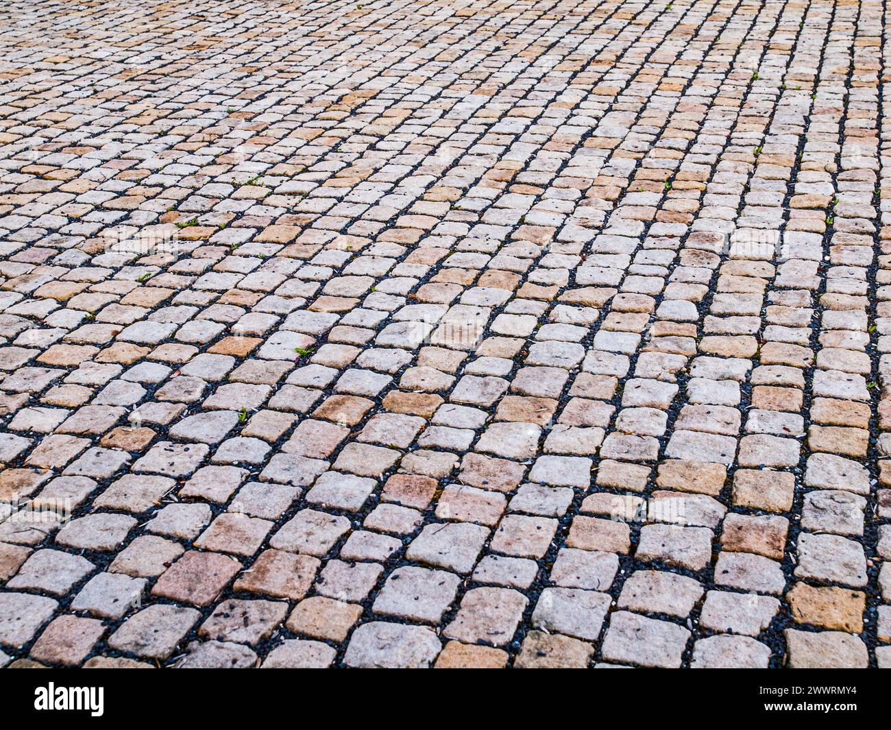 Cobblestones in the street in perspective view Stock Photo - Alamy