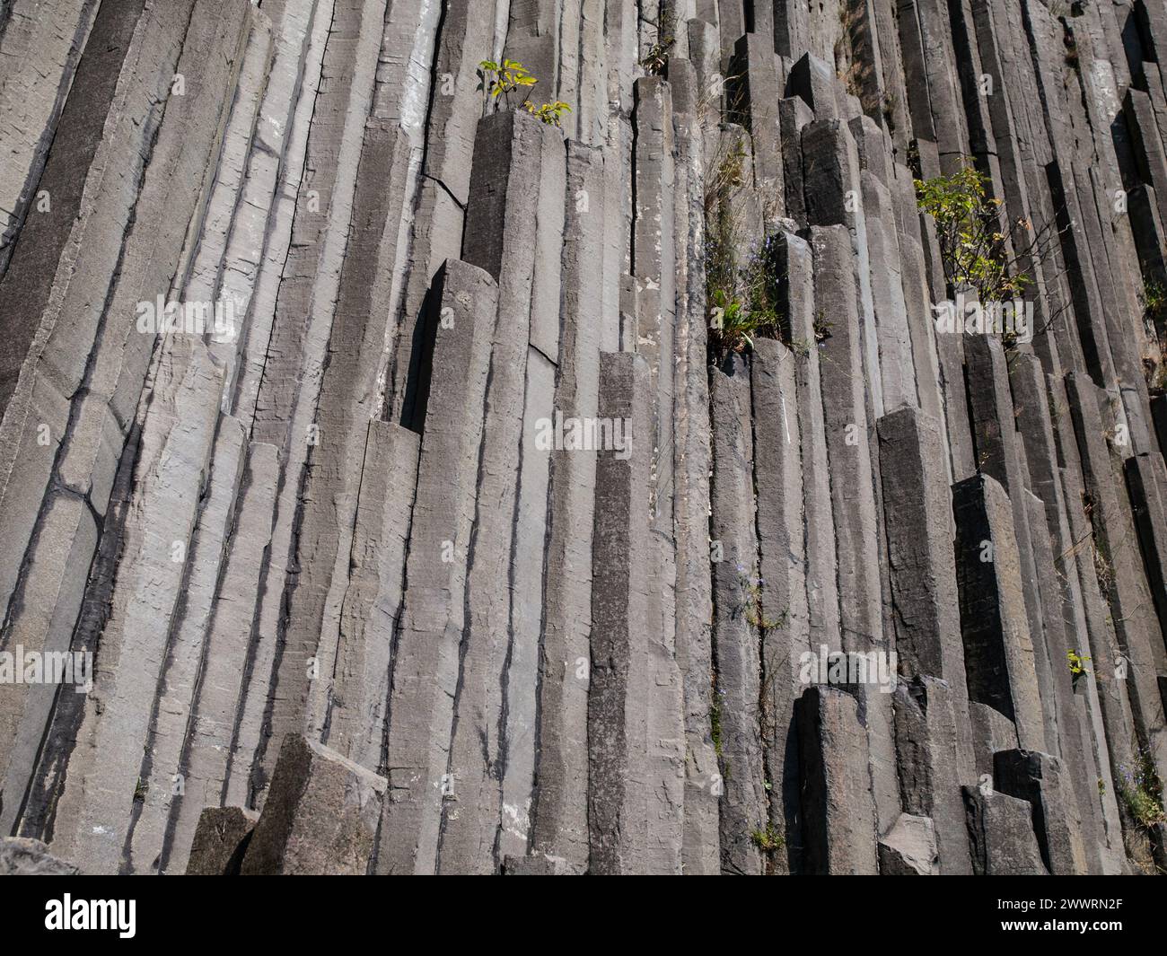 Detailed view of volcanic basalt columns - organ pipes Stock Photo - Alamy