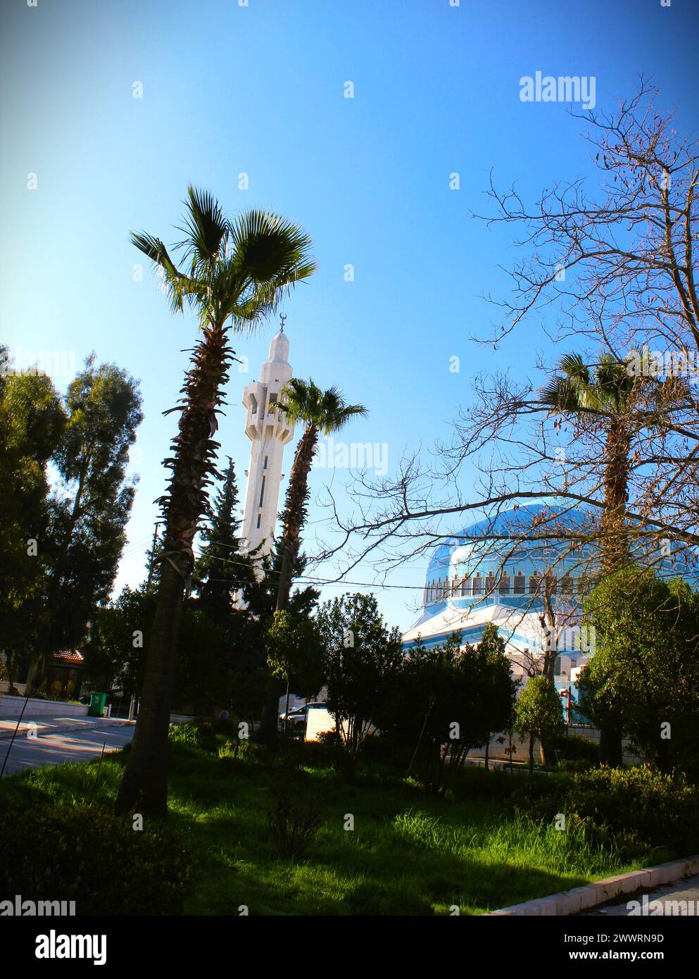 Good weather, clear sky ... means spring is coming. This picture was ...