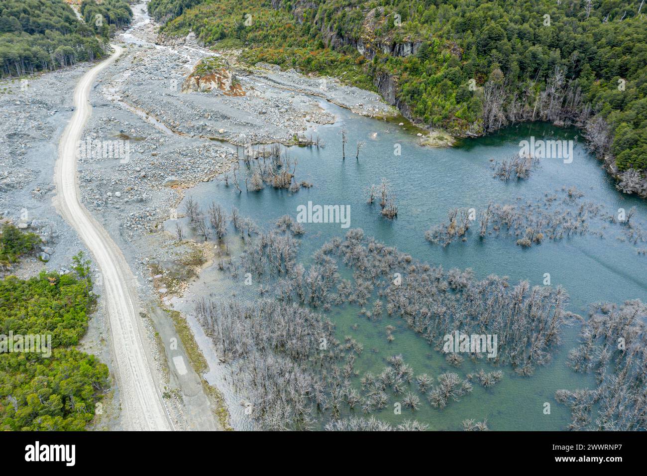 Flooded forest with dead trees, river Rio Norte damned by landslide ...