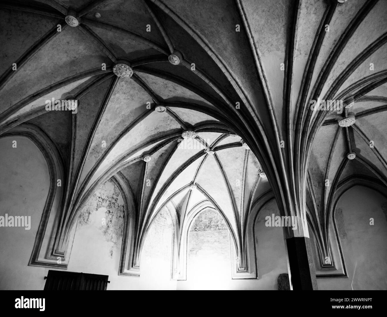 Gothic rib vault ceiling, architectural feature detail. Black and white ...