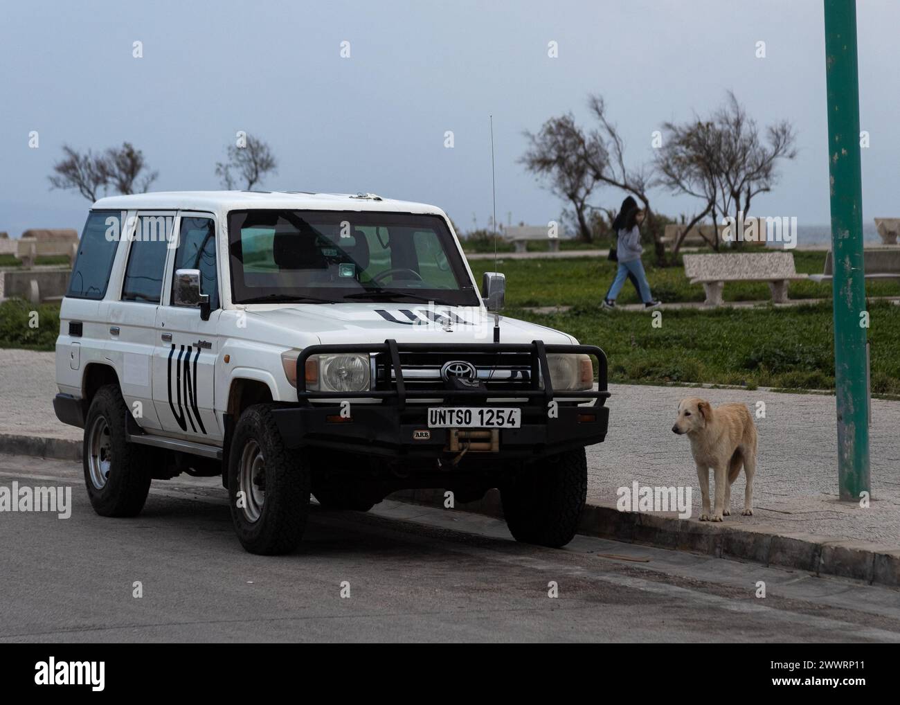A dog stands beside a United Nations Interim Force in Lebanon (UNIFIL ...