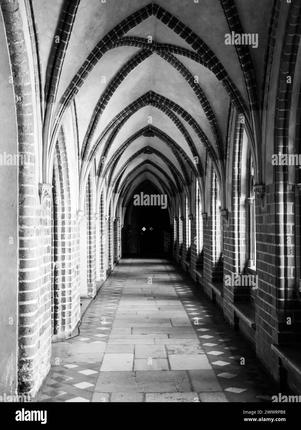 Medieval castle cloister with gothic rib vault ceiling. Black and white ...