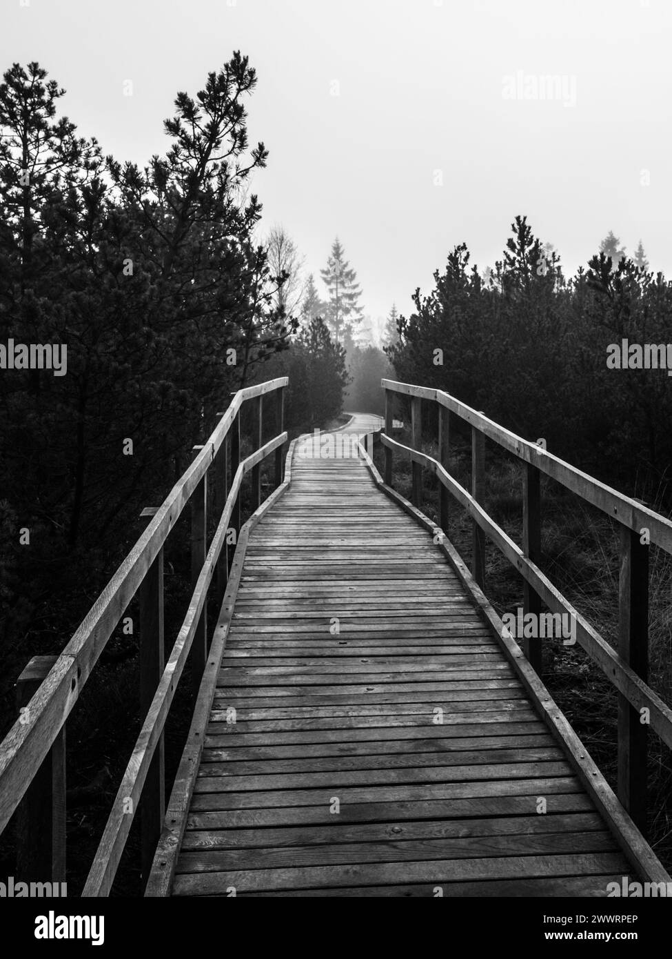 Bog bridge Black and White Stock Photos & Images - Alamy