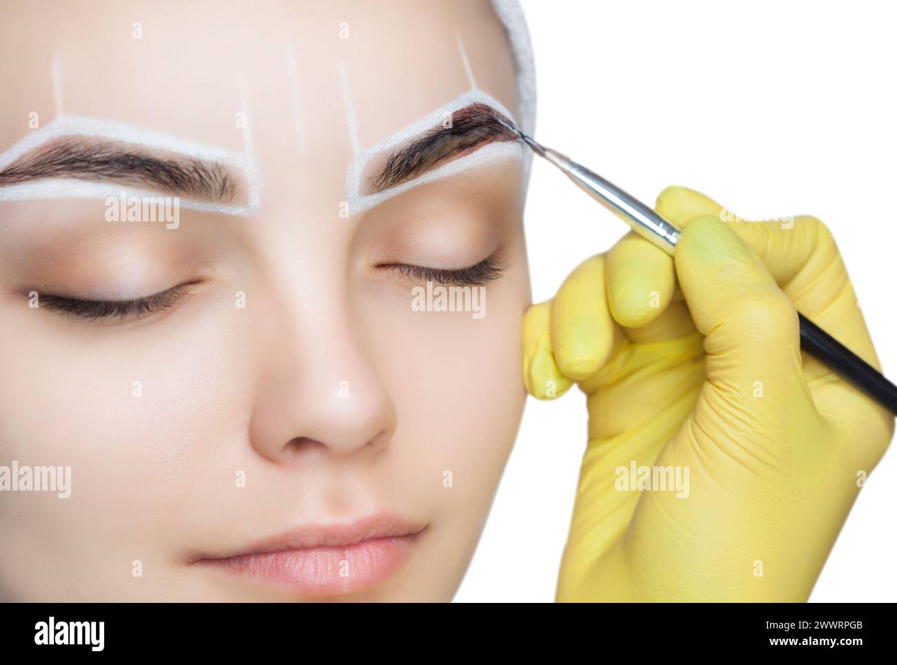 The make-up artist applies a paints eyebrow dye on the eyebrows of a ...