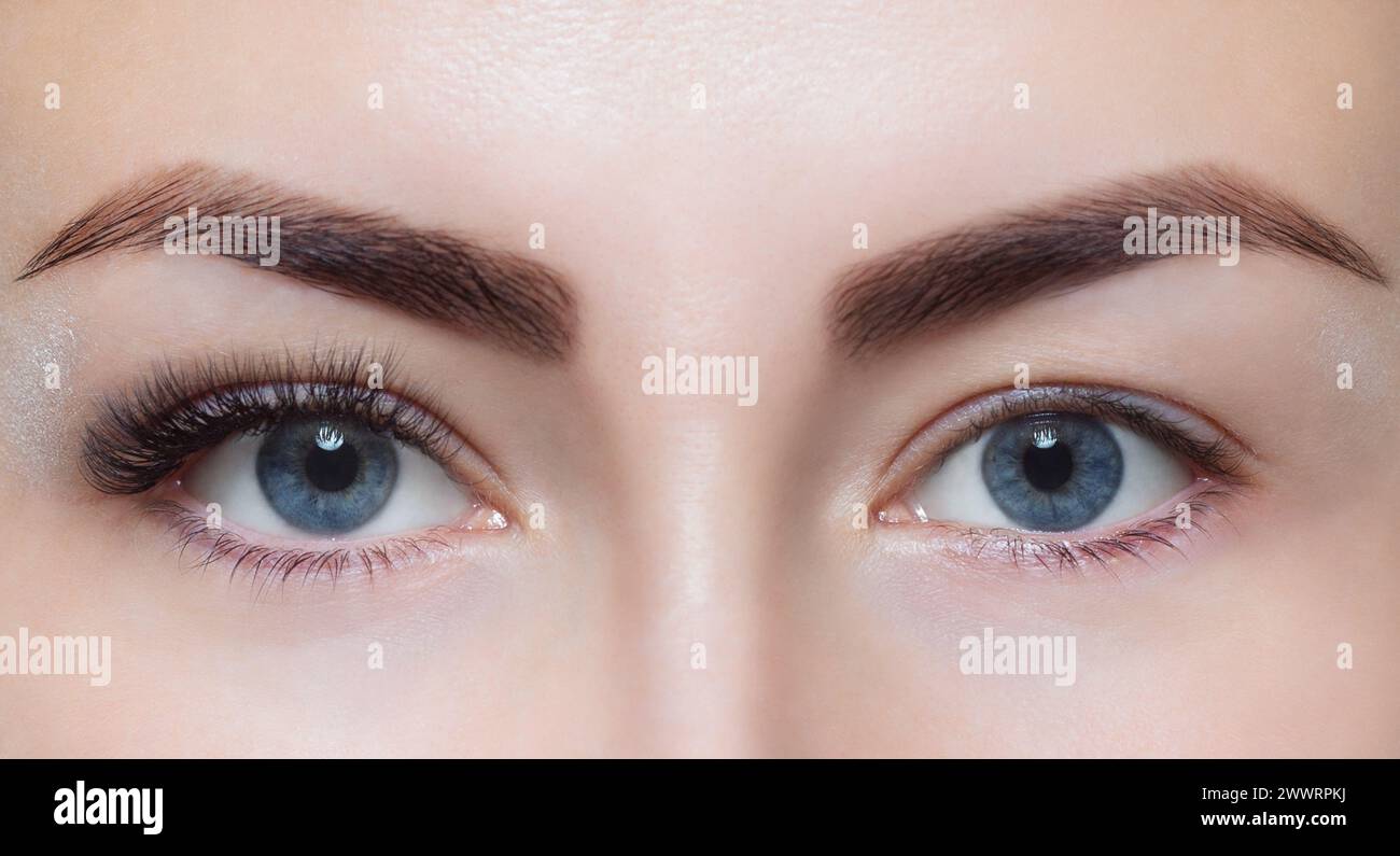 Eyelash extension procedure close up. Beautiful Woman with long lashes ...