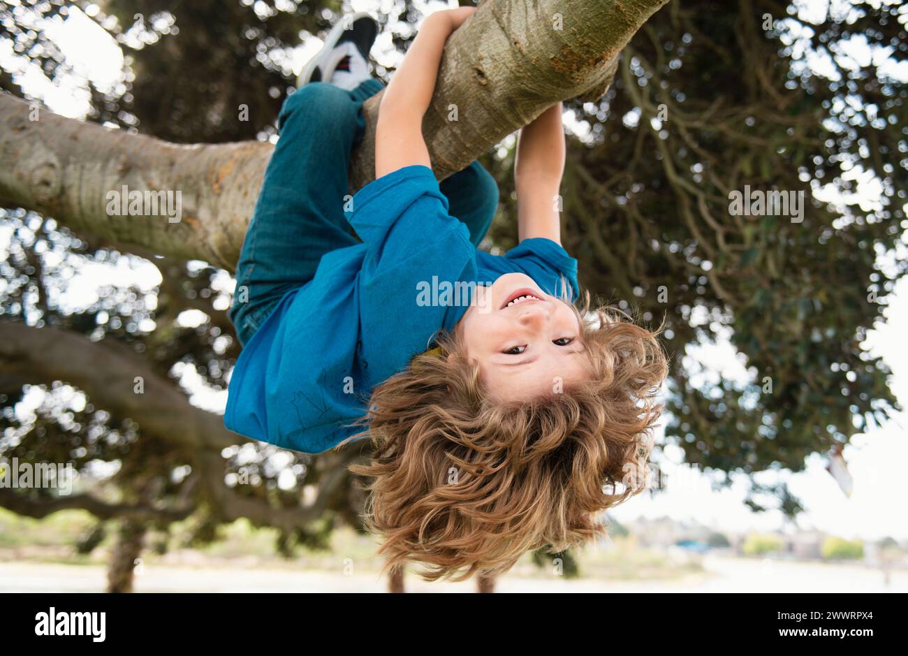 Kids climbing trees, hanging upside down on a tree in a park. Child ...