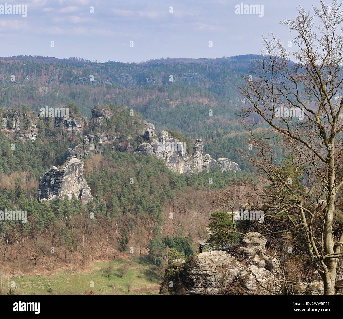 Scenic mountain top view with rocks and trees Stock Photo - Alamy