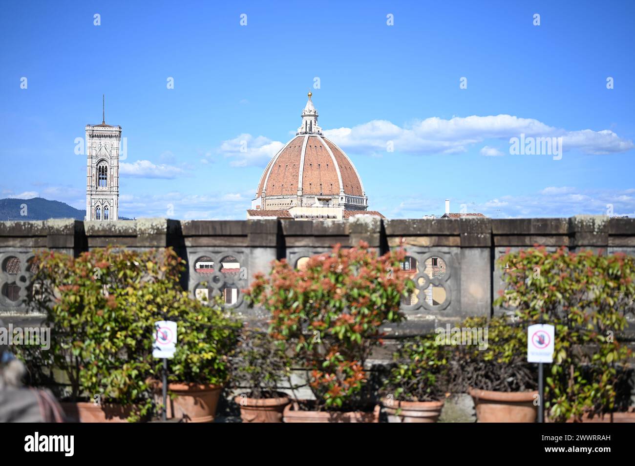 Firenze museum hi-res stock photography and images - Alamy