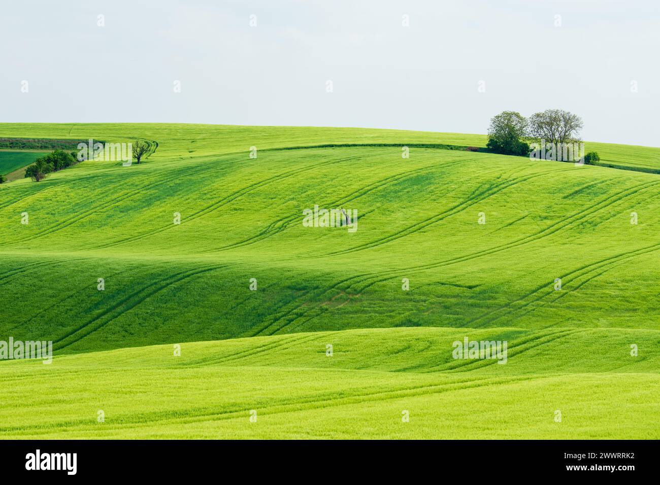 Saturated field hi-res stock photography and images - Alamy