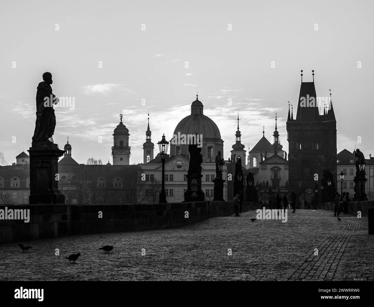 Walk on spring sunny Black and White Stock Photos & Images - Alamy