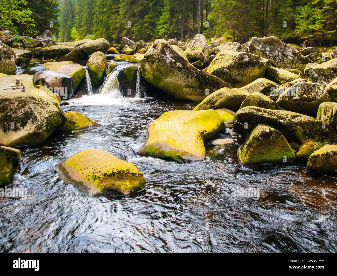 Mossy rocks in the wild stream of Vydra river, Sumava National Park ...