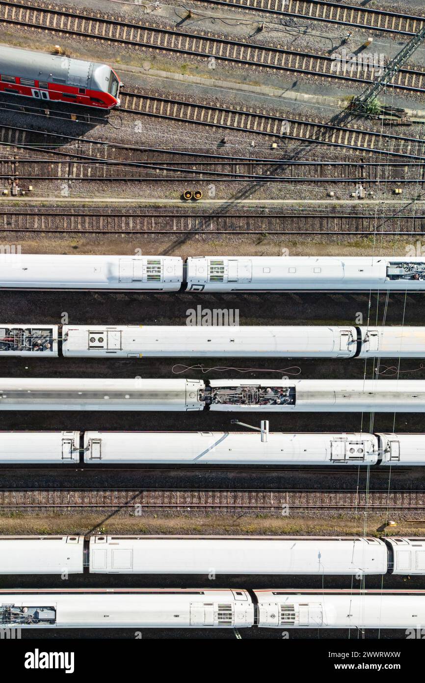 The Multiple locomotives stationary on train tracks surrounded by ...