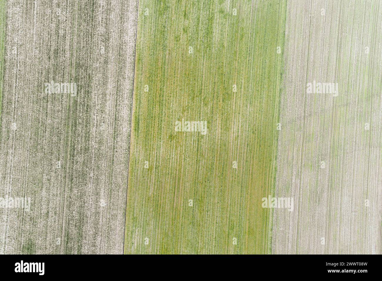 Agricultural field plowed for sowing, aerial photo with drone. Detailed ...