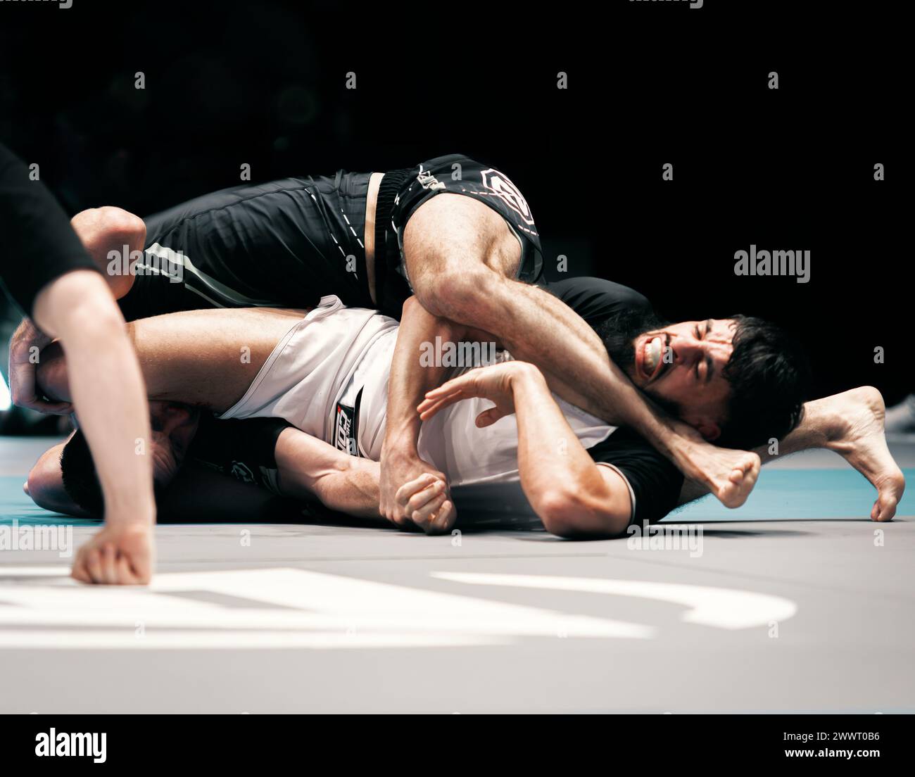 Polaris Professional 27 Brazilian Jiu-Jitsu event, televised on UFC ...