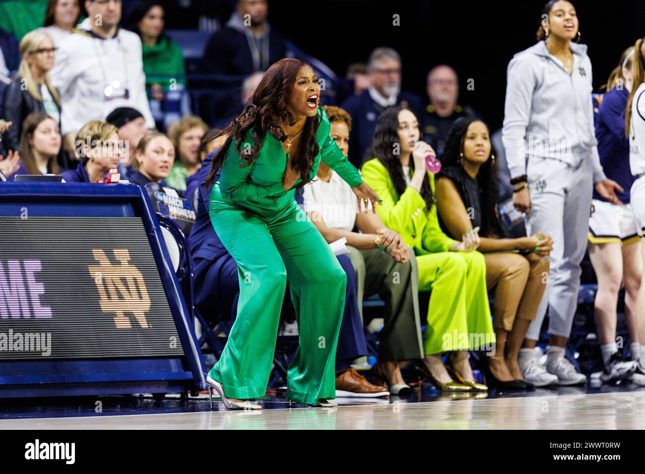 Niele ivey hi-res stock photography and images - Alamy