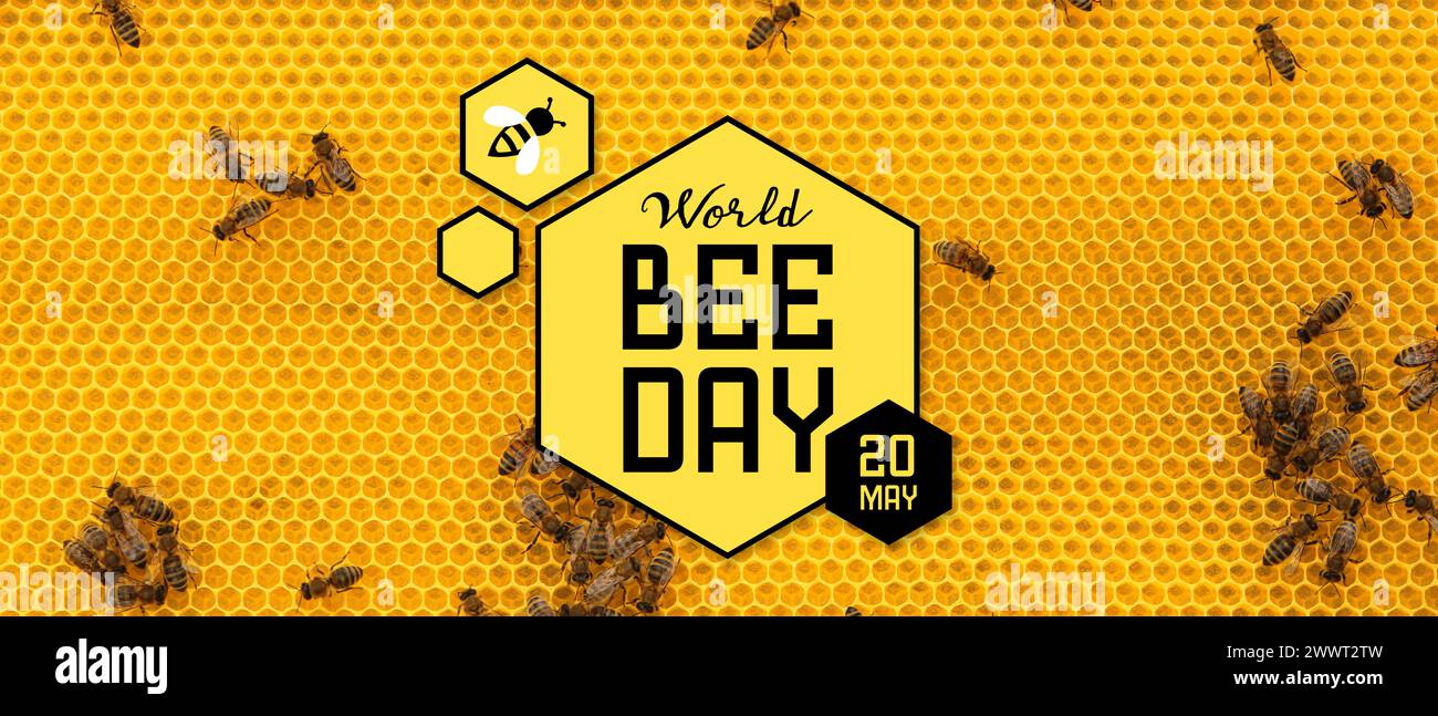 World bee day 20 may hi-res stock photography and images - Alamy