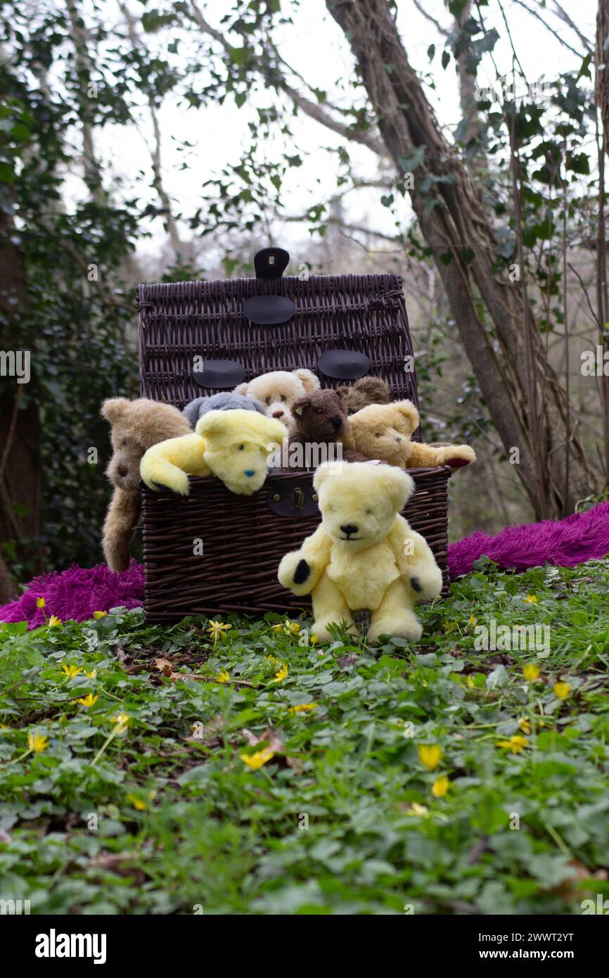 A view looking towards a group of teddy bears escaping from a basket ...