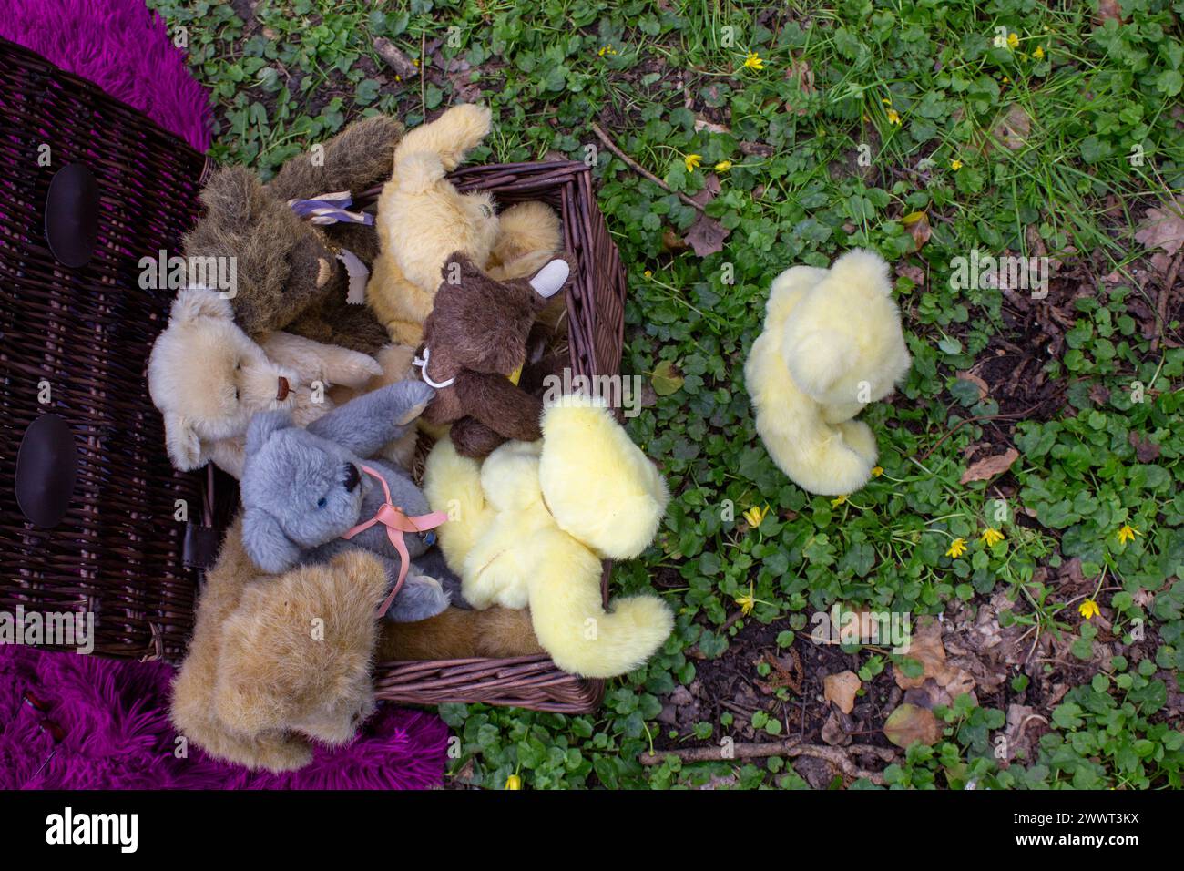 A view looking down onto a group of teddy bears escaping from a basket ...