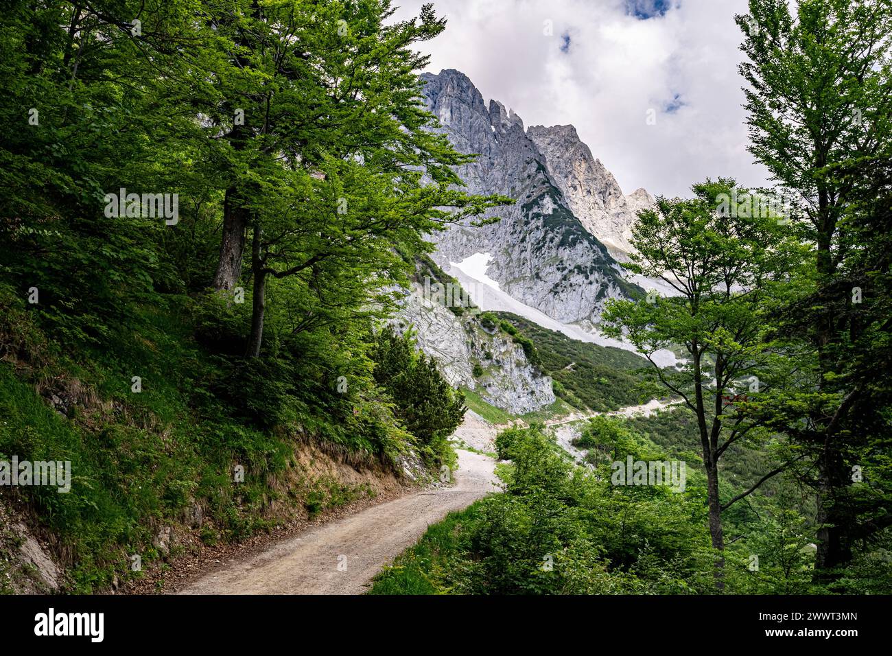 Baumgrenze landschaft hi-res stock photography and images - Alamy