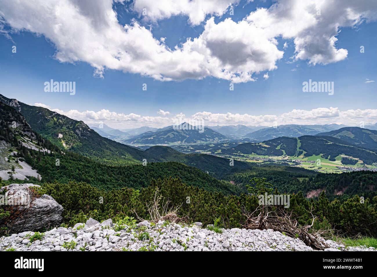 Baumgrenze landschaft hi-res stock photography and images - Alamy