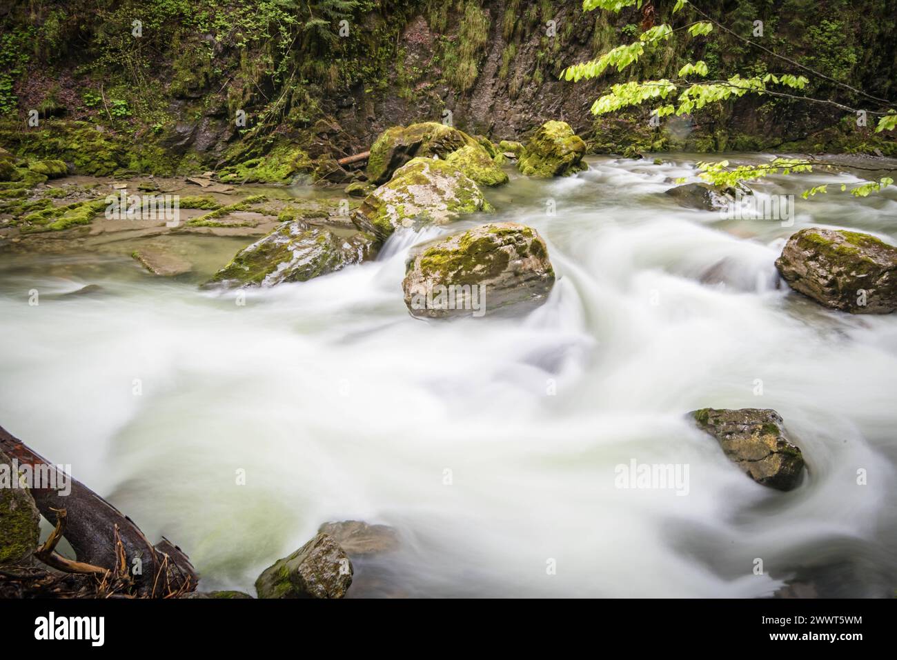 Bildefekt hi-res stock photography and images - Alamy