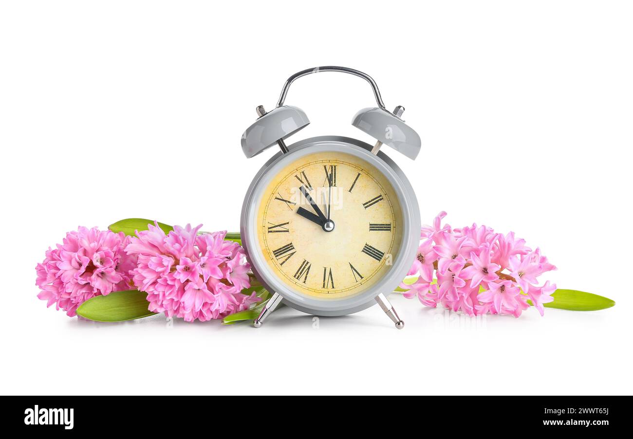 Alarm clock and hyacinth flowers on white background Stock Photo - Alamy