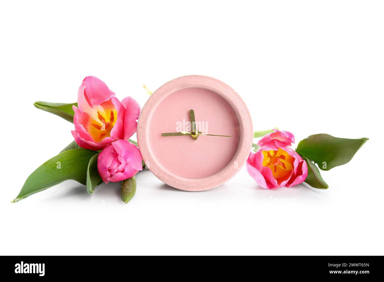 Alarm clock and tulip flowers on white background Stock Photo - Alamy